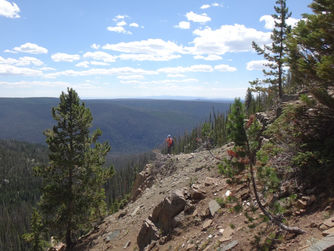 Research – Daniel J. Colwell